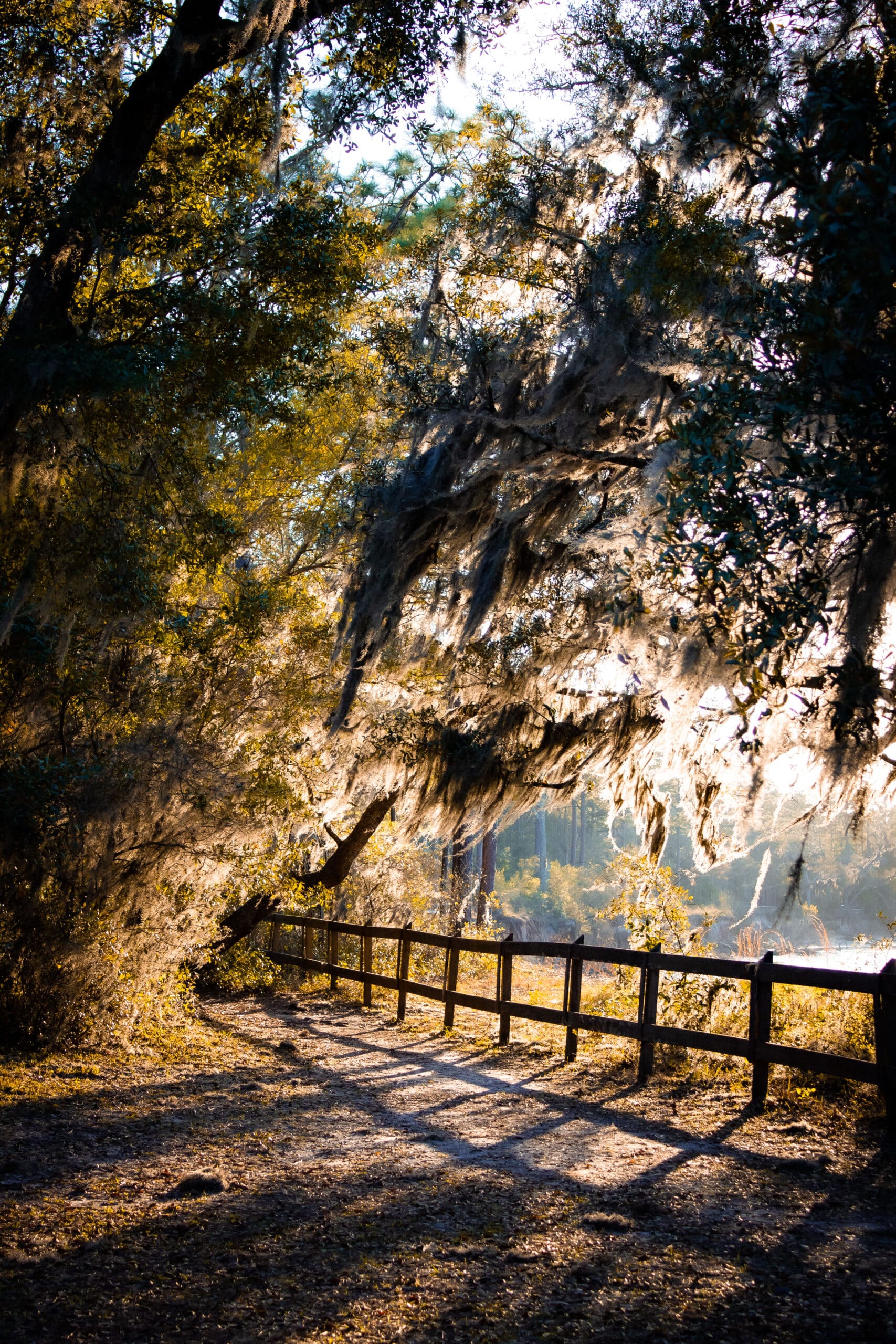 5 Most Romantic Sunset Spots in Kingsland, Georgia